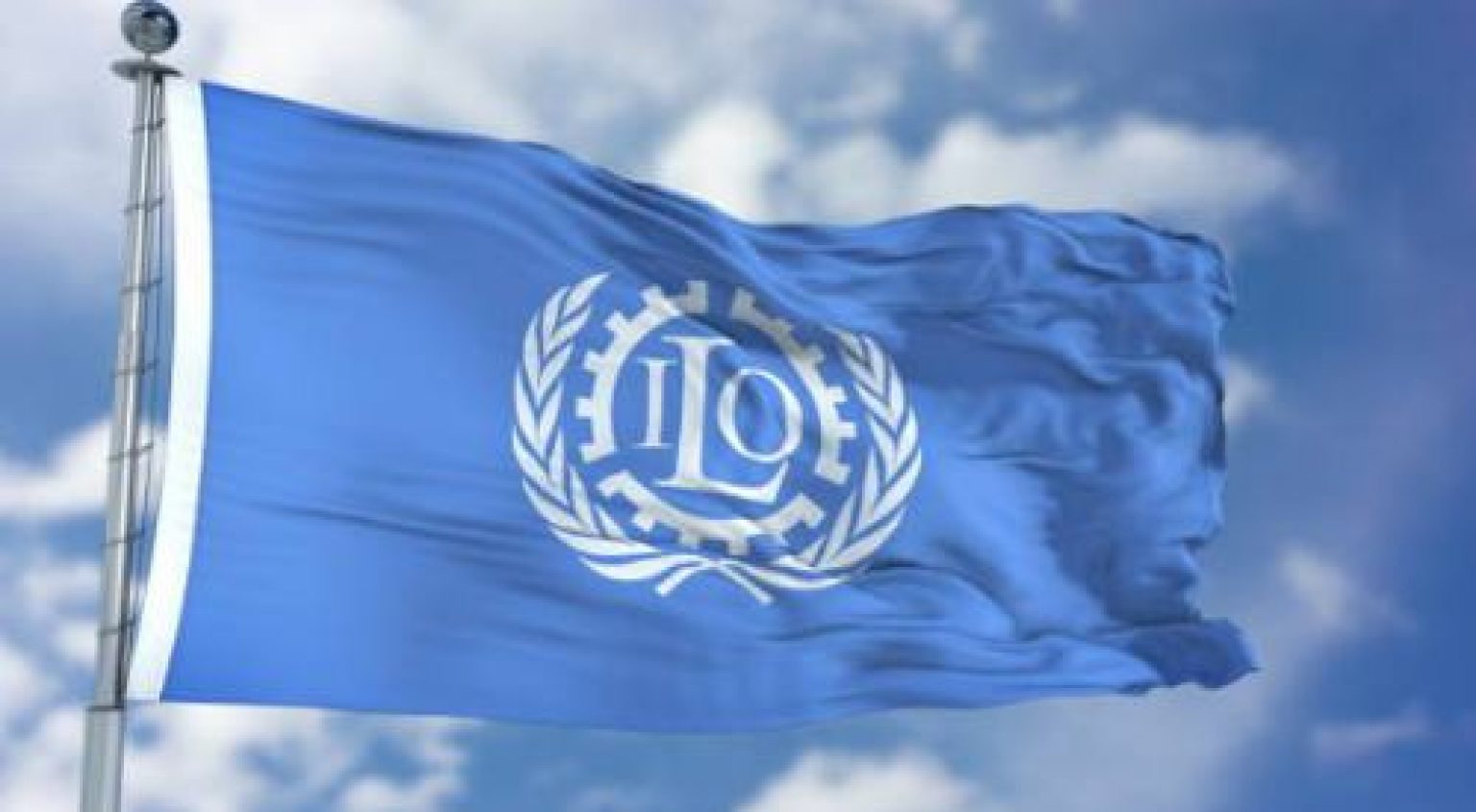 Conoce la OIT: Objetivos y función Masterlogística