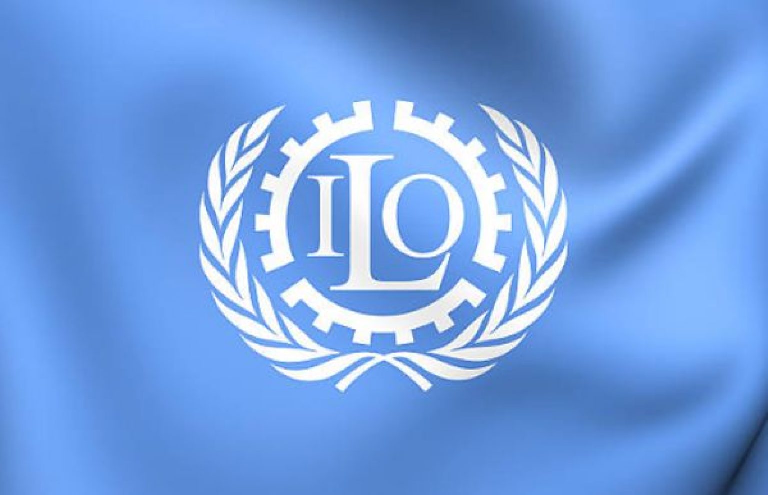 Organización Internacional del Trabajo - Master Logística