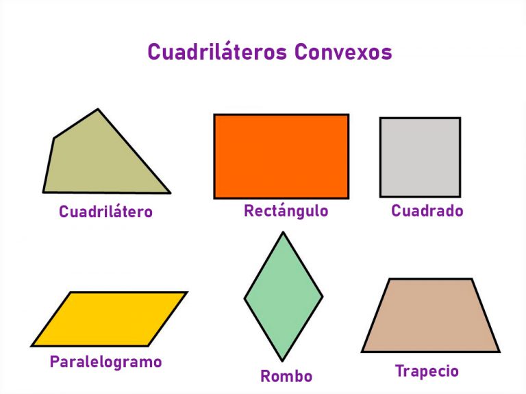 Cuadriláteros: Tipos y Características - Masterlogística
